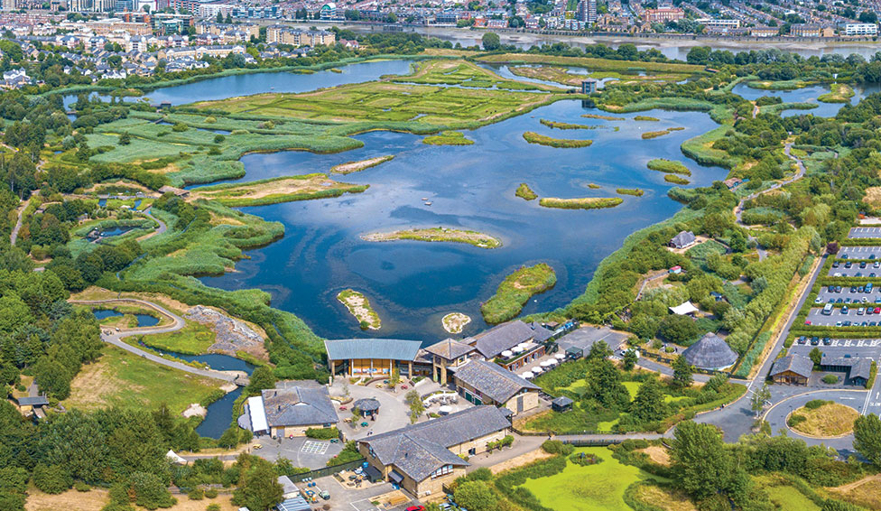 WWT ロンドン・ウェットランド・センター WWT London Wetland Centre – london.xyz